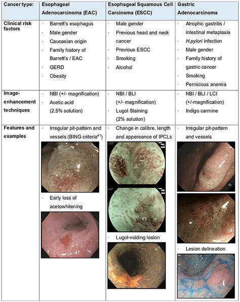 Is An Endoscopy And Egd The Same Thing