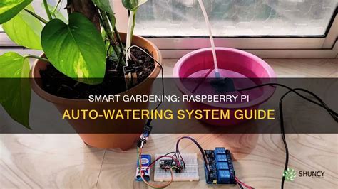 Smart Gardening Raspberry Pi Auto Watering System Guide Shuncy