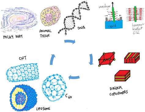 Schematic Diagram Showing Self Assembly At Various Scales Download Scientific Diagram