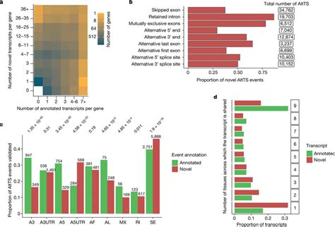 Discovery Of Novel Transcripts And Comparison Between Tissues A Number