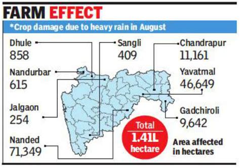 Sporadic Rain Affects Production Of Some Kharif Crops In Maharashtra Pune News Times Of India
