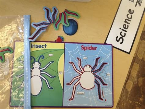 Autism Tank Science Preview Insects