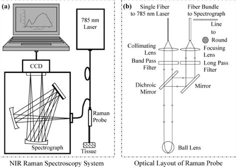 A Block Diagram Of The Portable Nir Raman Spectroscopy System Download Scientific Diagram