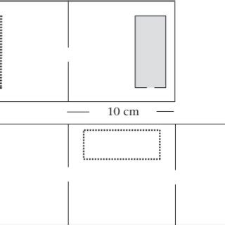 Experimental Set Up For A Experiment And B Experiment Boxes Download Scientific