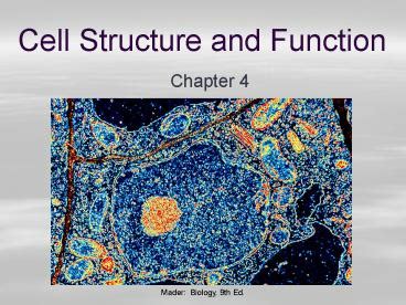 Cell Structure And Function Presentation Free To View