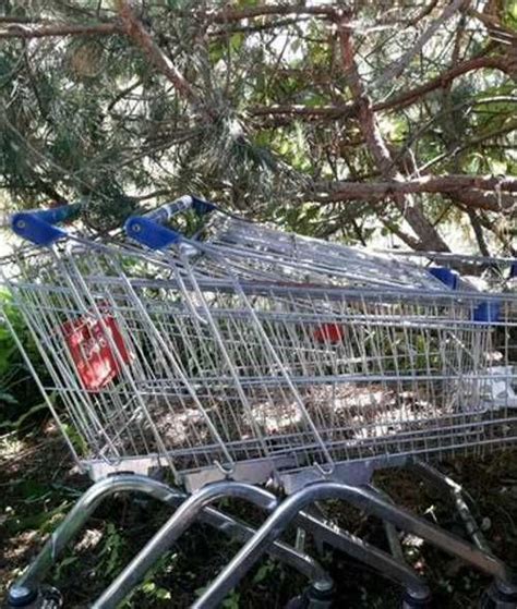 Тележка покупательская 4 шт Festima Ru частные объявления