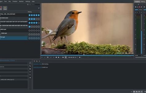 open source capcut alternatives for linux top 10 video editors alternativeto