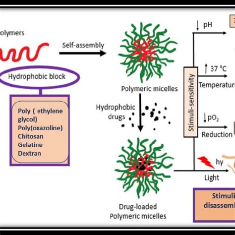 The Figure Shows The Use Of Polymeric Micelles In Cancer Therapy Download Scientific Diagram