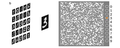 biological systems inspire image preprocessing solutions features