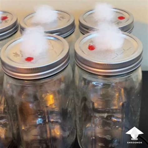 How To Make Jars With Substrate For Mushroom Spawn