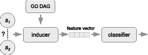 Figure 1 From Gene Ontology Driven Inference Of Protein Protein