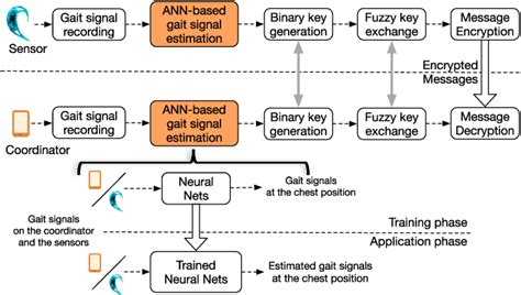 Figure 1 From An Artificial Neural Network Framework For Gait Based