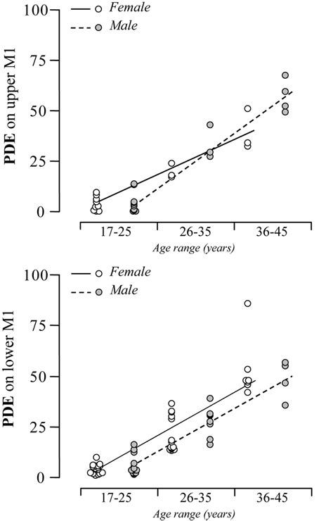 Regression Plot Of Median Percentage Of Dentin Exposure Pde By Sex Download Scientific