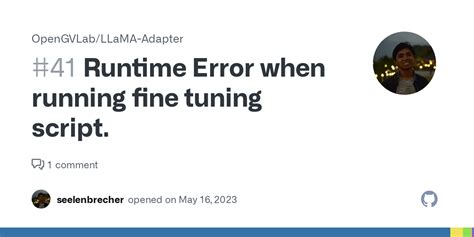 Runtime Error When Running Fine Tuning Script Issue 41 OpenGVLab