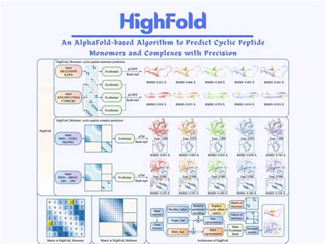 meet highfold an alphafold based algorithm to predict cyclic peptide
