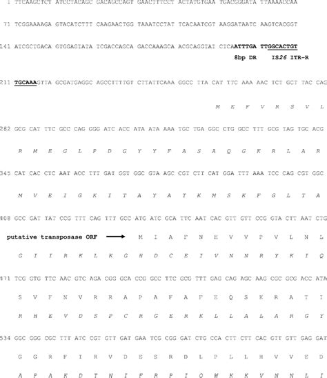 nucleotide sequence of the e coli tet m gene and flanking regions