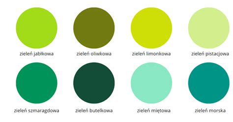 Jaki Kolor Pasuje Do Zielonego Modne Stylizacje Z Zielenią