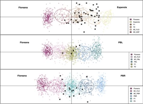Scatterplot Of The First Two Principal Components Of Dapc Showing