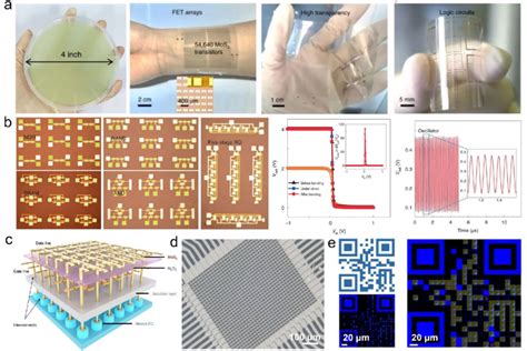 Application Of Mos 2 Film In Integrated Circuits A The Wafer Scale