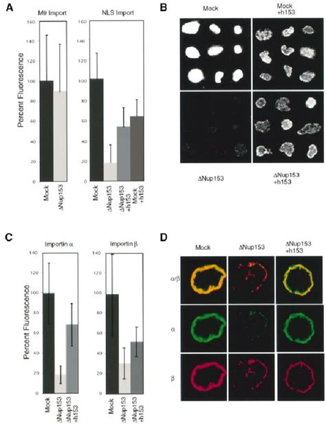 Nup153 De®cient Npcs Display A Selective Protein Import Defect Nuclei