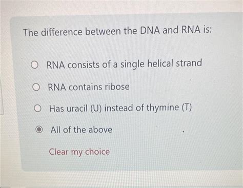 Solved The Difference Between The DNA And RNA Is RNA Chegg Com