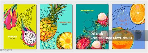 오렌지 파인애플 피타야 람부탄 과일이 있는 포스터 전체 및 반 열대 여름 과일 브로셔 전단지 및 포스터 사용을 위한 표지 템플릿 세트 벡터 그림입니다 과일에 대한 스톡 벡터