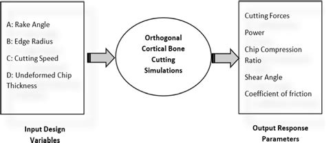 interrelation between input design parameters and output response