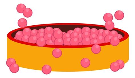 Balles Rebondissantes Dans Une Piscine Ronde Activité Colorée Pour