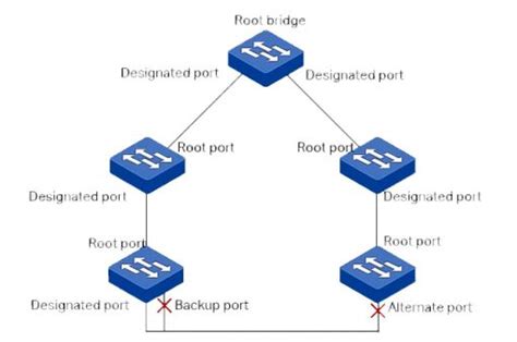 Tác Dụng Và Cách Cấu Hình Giao Thức Stp Spanning Tree Protocol Viễn