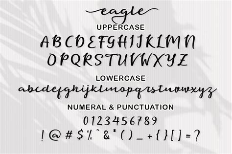eagle script elegant font 516062 script font bundles