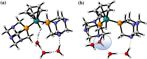 Heterolytic Splitting Of The Hh Bond Of Cprupta2η² H2 ⁺ A