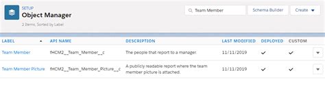 Additional Fields Sage Developer