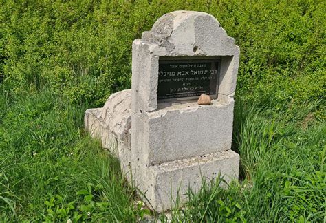 Zychlin Jewish Cemetery Esjf Surveys