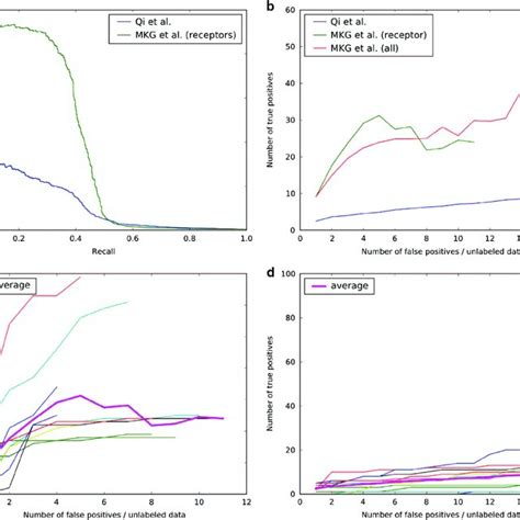 Computational Evaluation Of Predicted Protein Protein Interactions On