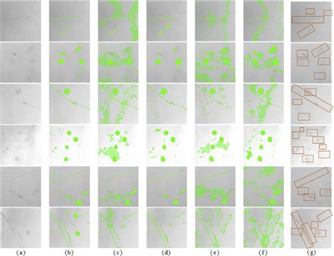 Segmentation Results Of Mirror Surface Image Samples With Different Download Scientific Diagram