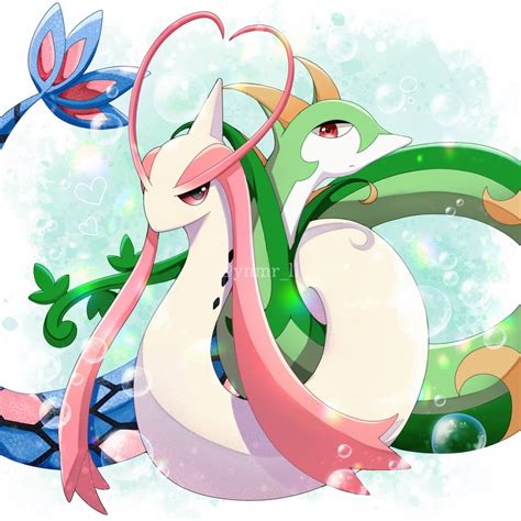 Milotic And Serperior Pokemon Drawn By Ynmrll Danbooru