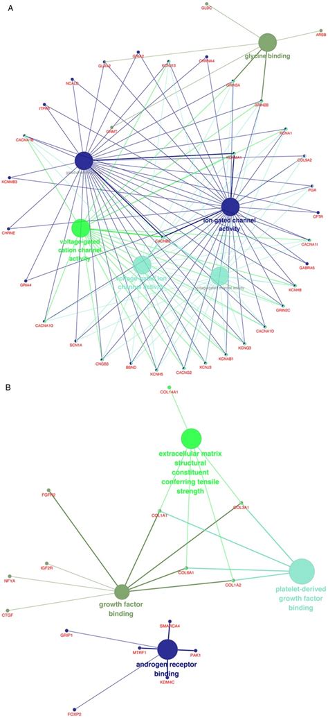 Bioinformatics Analysis Of Sex Differences In Arrhythmogenic Right