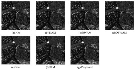 Enhancing RABASAR For Multi Temporal SAR Image Despeckling Through Directional Filtering And