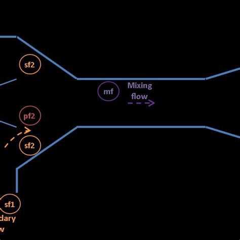 The Modeling Depiction Of The Ejector Download Scientific Diagram