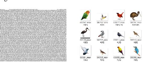 Figure 1 From Automatic Bird Species Recognition Using The Deep