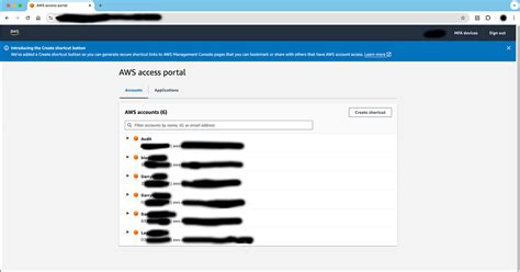 Fast Aws Sso Account Switching