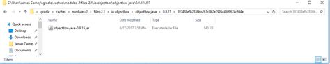 Javassistnotfoundexception · Issue 135 · Objectboxobjectbox Java