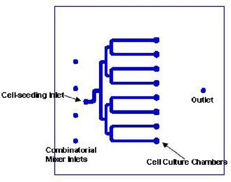 Figure 2 From A 3 D Microfluidic Combinatorial Cell Culture Array