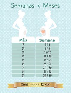 30 Melhor Ideia De Fases Da Gravidez Gravidez Fases Da Gravidez Dicas De Gravidez