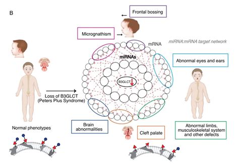 Publications Mahal Lab