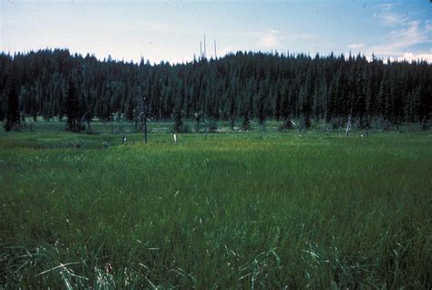 Pacific Northwest Interagency Natural Areas Network