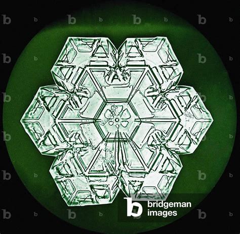 Image Of Study Showing The Form And Structure Of A Snowflake C By Bentley Wilson A
