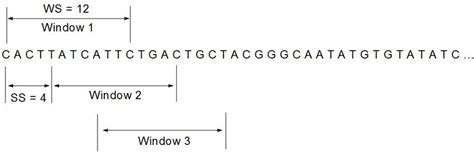 example of computing the information entropy spectrum of a genome by