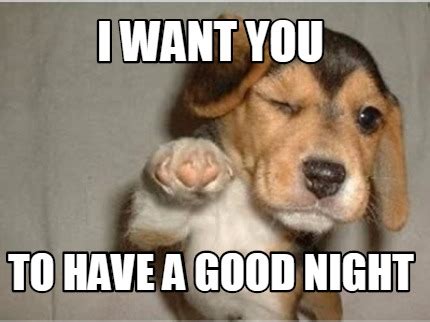 Goodnight Love Memes