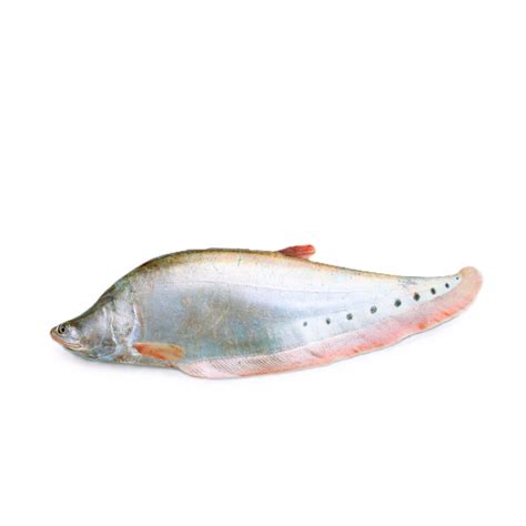 Chitol Fishচিতল মাছ 1kg Shorobor Trusted Online Shop In